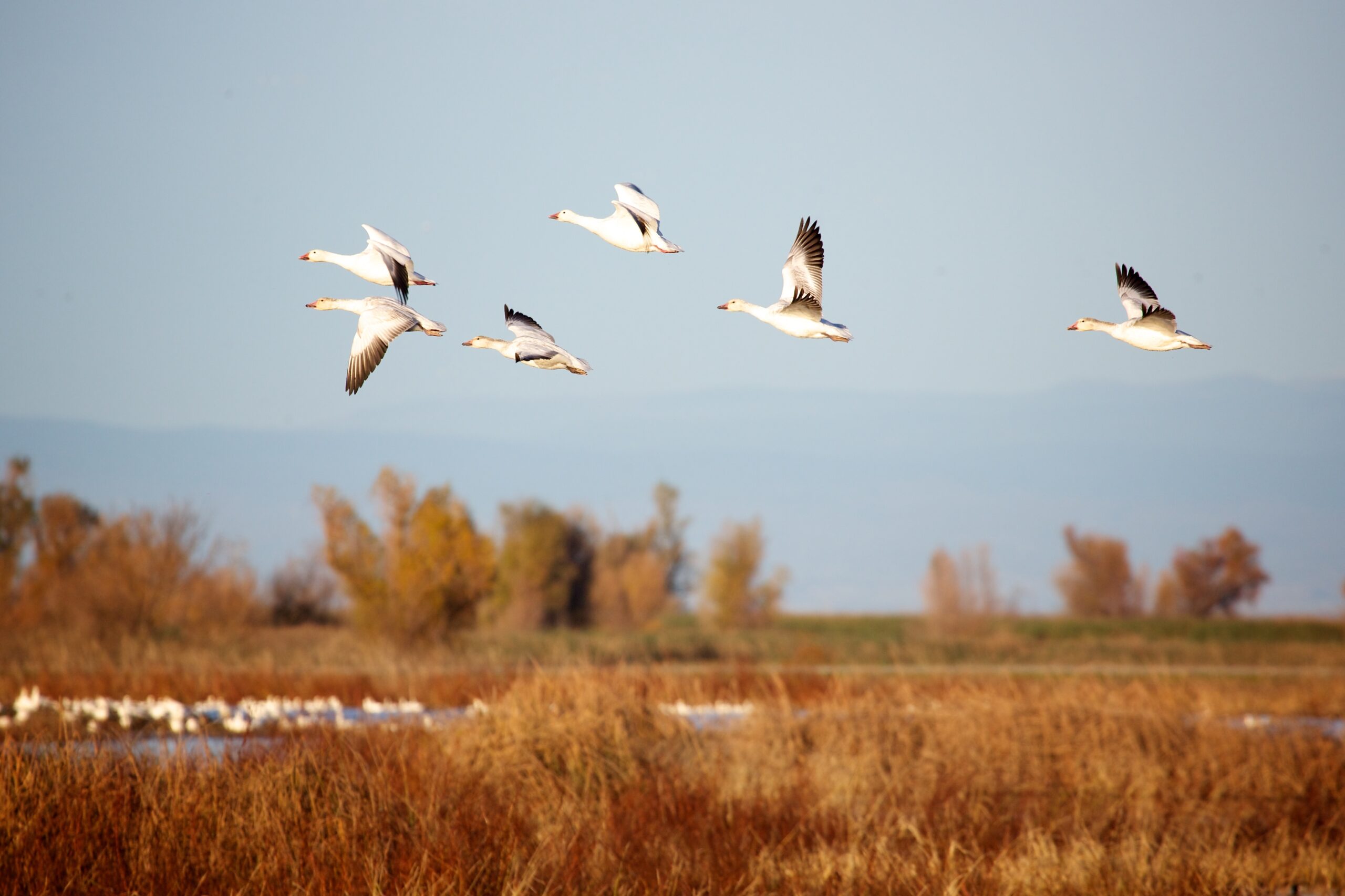 Multidisciplinary Hub of Expertise on the Sustainable Management of the ...