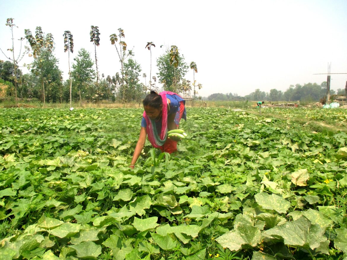 Practical Action for Addressing Loss and Damage – Regions4