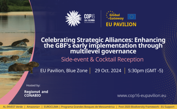 Celebrating Strategic Alliances: Enhancing the Global Biodiversity Framework’s early implementation