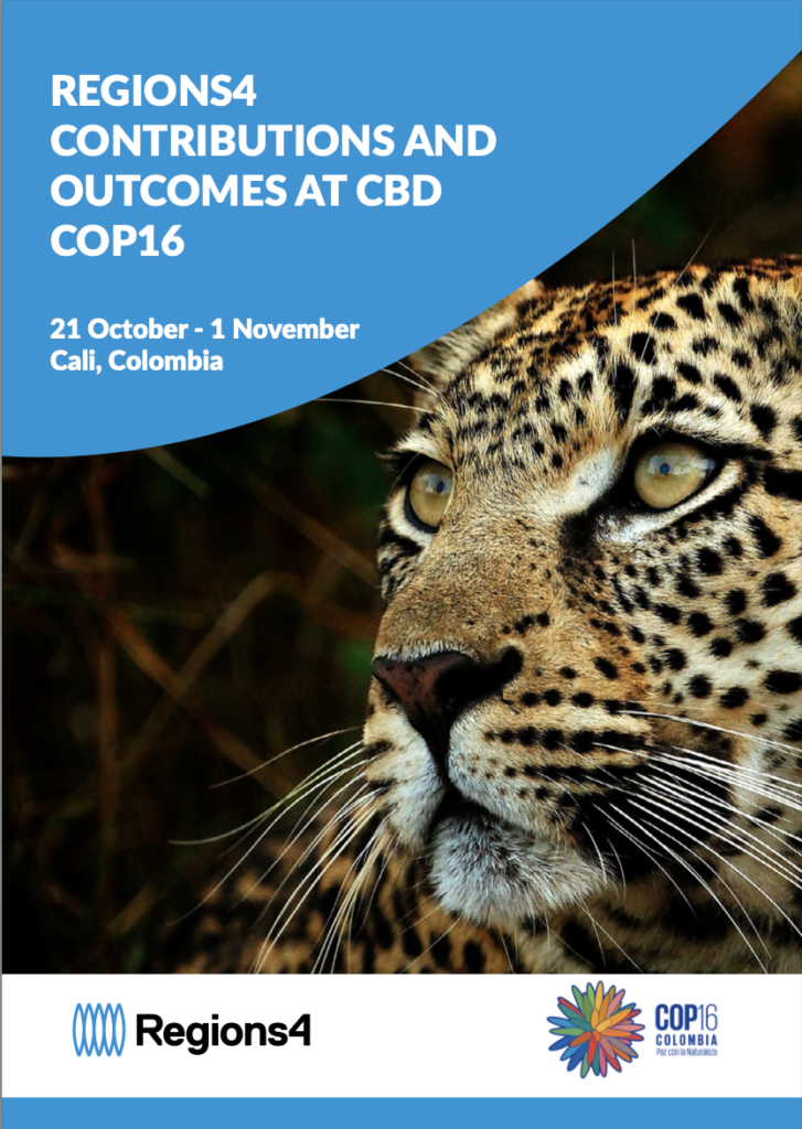 RegionsAdapt Progress Report 2023 - Addressing Climate Justice in ...