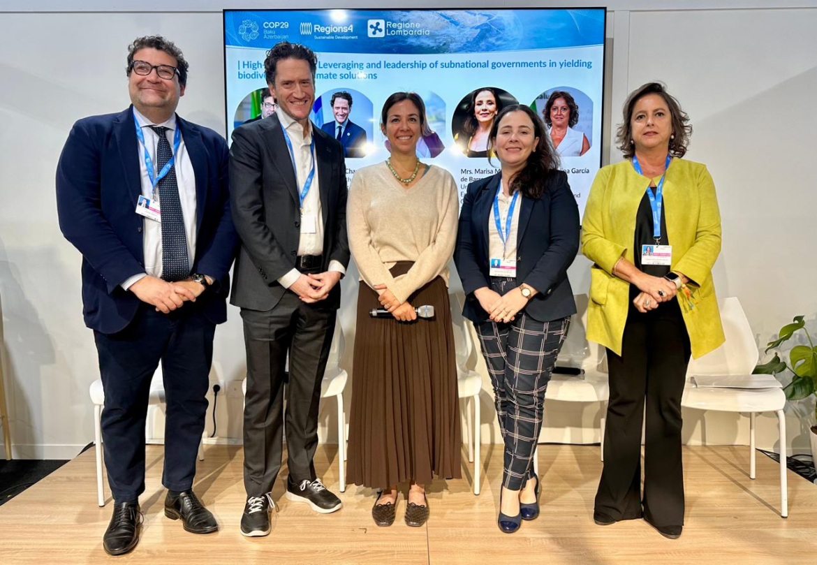 At COP 29 | From Cali to Belem: The Leadership of Subnational ...