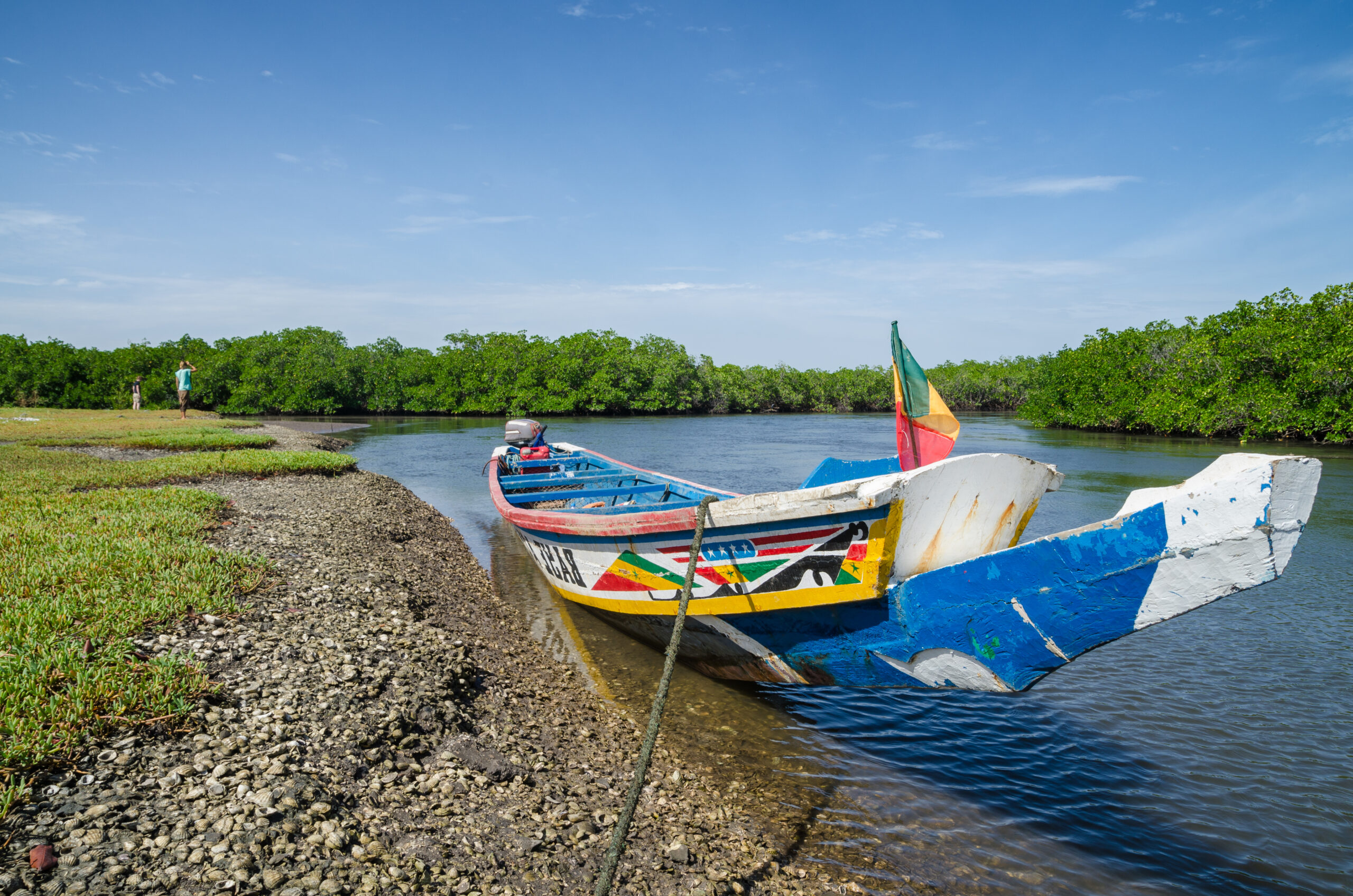 Restoring Mangrove forests: Saint-Louis' Solution to Coastal ...